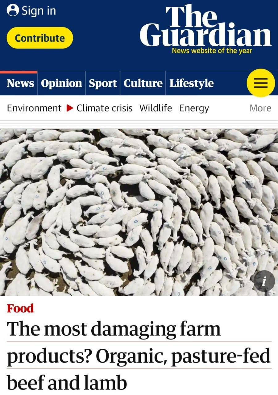 The ‘Bloody’ Truth About Lab-Grown Meat | AbuIyaad.Com The ‘Bloody’ Truth About Lab-Grown Meat | AbuIyaad.Com